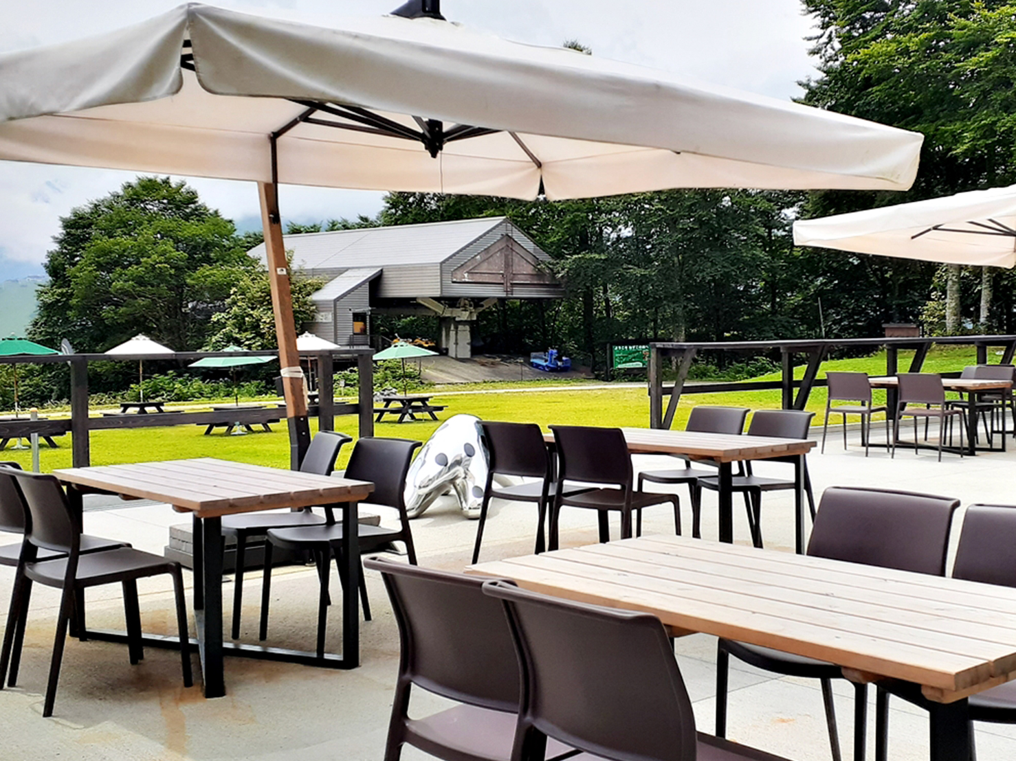 Skyark Deck Cafe | 白馬岩岳マウンテンリゾート
